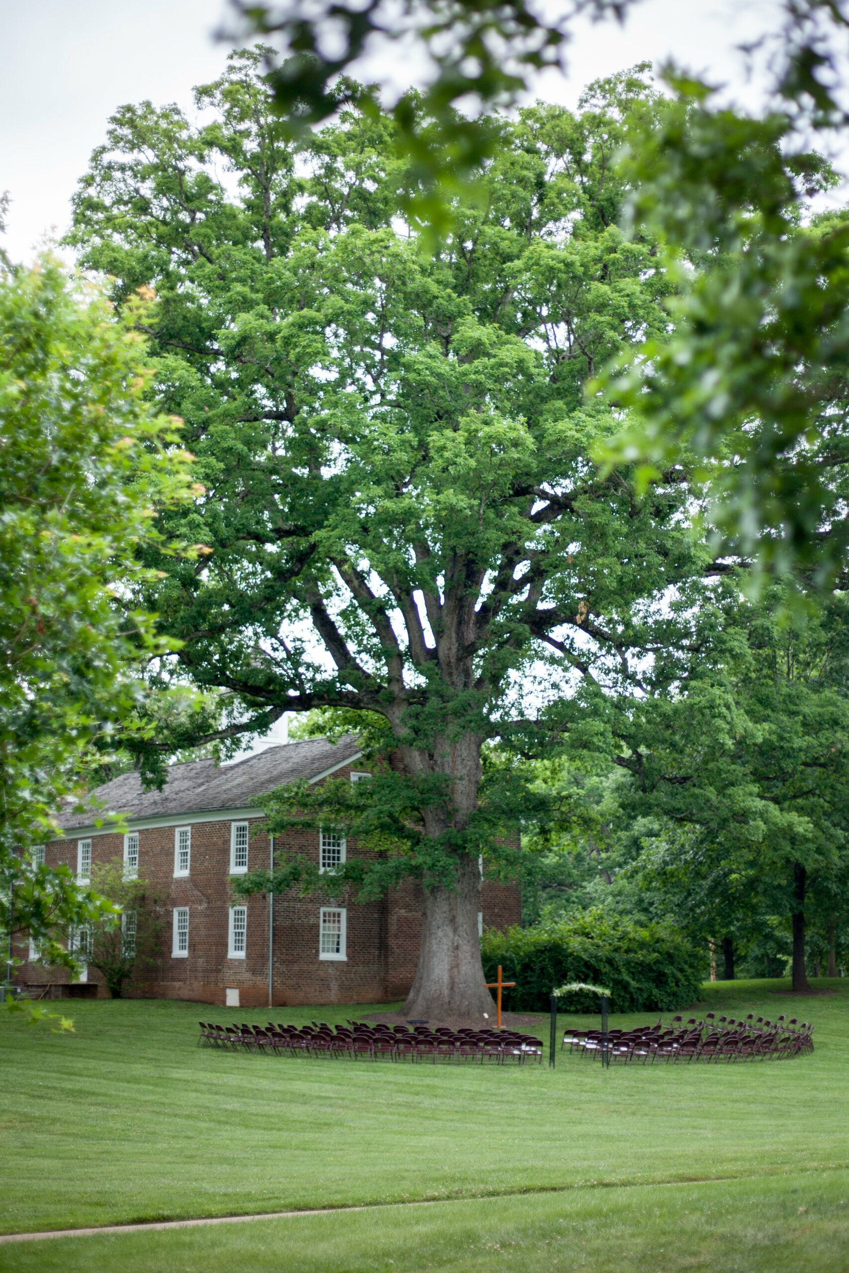 Old Oak Tree TUSCULUM UNIVERSITY Old Oak Tree TUSCULUM UNIVERSITY